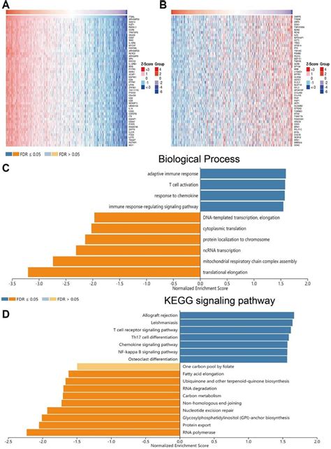 go and kegg enrichment analysis a b genes that are positive or