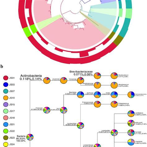 phylogenetic relationship species annotations and species specific tree