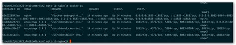 使用 docker compose 安装 mqtt 服务集群 浅扉浅蓝 博客园