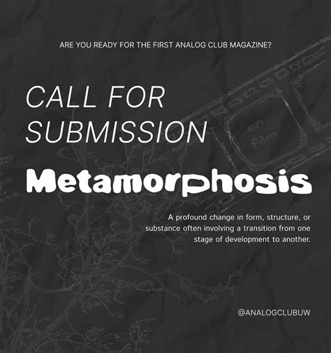 Analog Club Analogclubuw Instagram Photos And Videos
