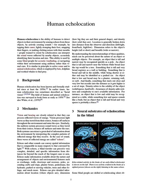 Human Echolocation 1 Background Pdf Senses Hearing