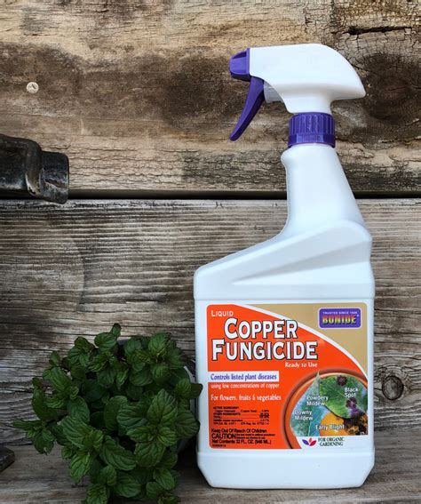Bonide Copper Fungicide Dust And Spray