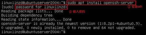 Xshell 远程连接Ubuntu服务器 回文串多放孜然 博客园