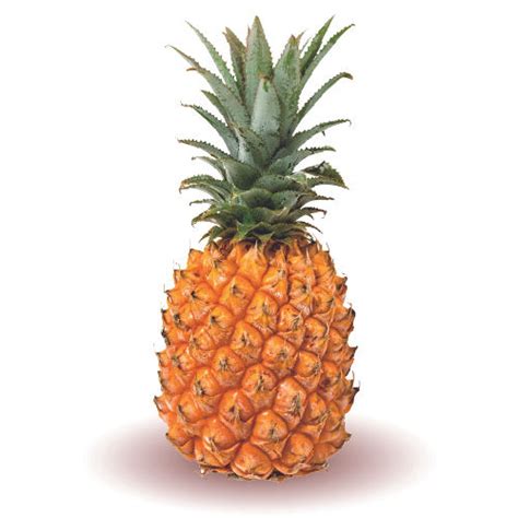 台灣金鑽鳳梨pineapple Smallmouthfruit