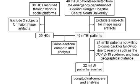 Figure 1 From Structural And Functional Connectivity Of The Whole Brain