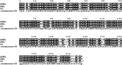 Alignment Of Adel And Other Aplysia Eggs Lectins Amino Acid Sequence Download Scientific