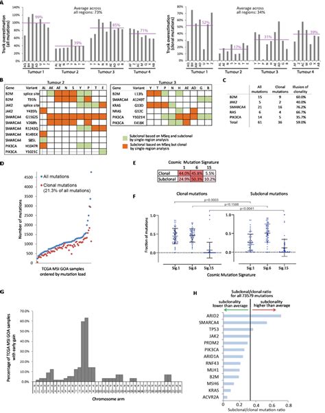 clonal and subclonal mutation analysis a comparison of the total