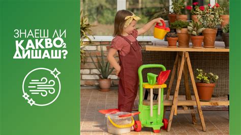 Създаване на зелени оазиси у дома заедно с децата Летни проекти за чист въздух