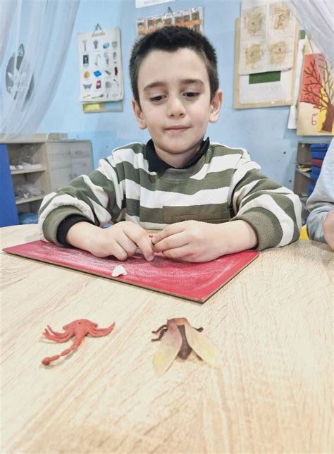 ონავრები