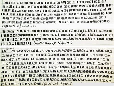 A Novel Multiplex Binary Code Was Shown To A UFO Contactee CJ In Late Or Early