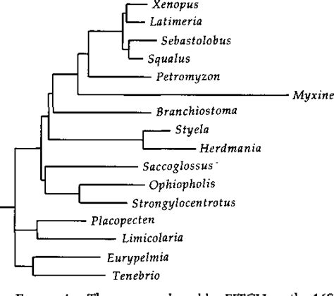 Figure 1 From An Alternating Least Squares Approach To Inferring Phylogenies From Pairwise