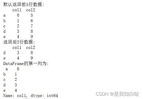 Pandas两种基本数据结构Series和DataFrame pandas series和dataframe CSDN博客
