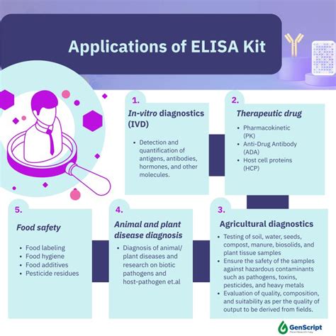 Talha Khan Posted On Linkedin