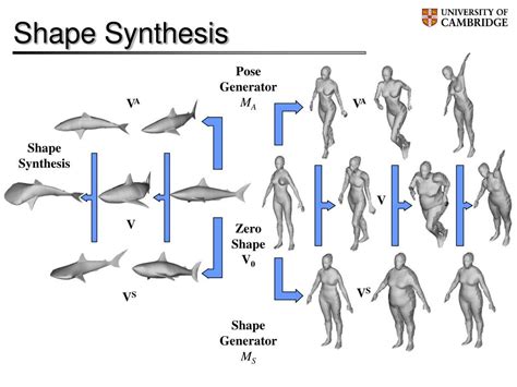 PPT Modeling D Deformable And Articulated Shapes PowerPoint Presentation ID