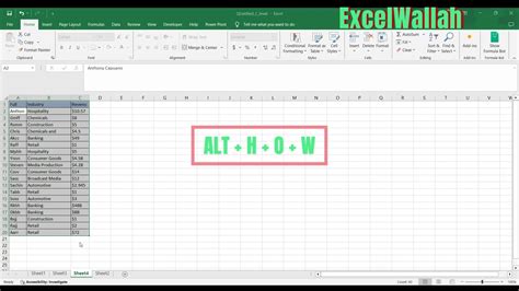 autofit row autofit column adjust row height and column width using