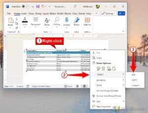 How To Insert An Excel Table Into Word Documents WinBuzzer