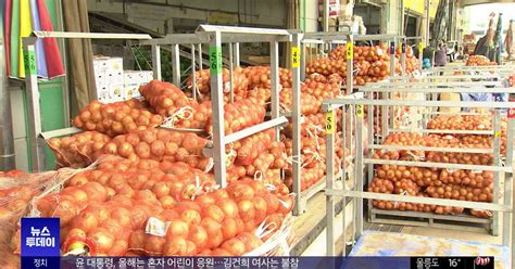 재배면적 양파 늘고 마늘 줄고‥이유는
