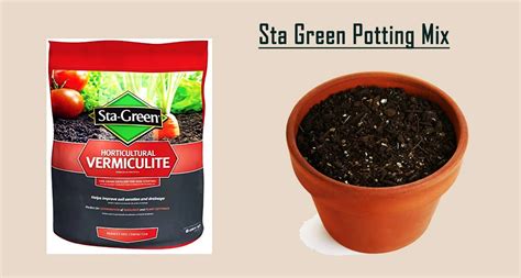 Sta Green Potting Mix Review