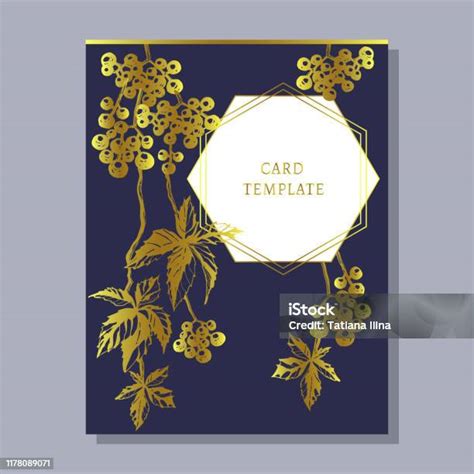 야생 포도 포도 인사말 초대 장 카드 템플릿 디자인 배너 전단지 초대장 포스터 웹 사이트 또는 인사말 카드를 디자인합니다 벡터 일러스트레이션 0명에 대한 스톡 벡터 아트 및