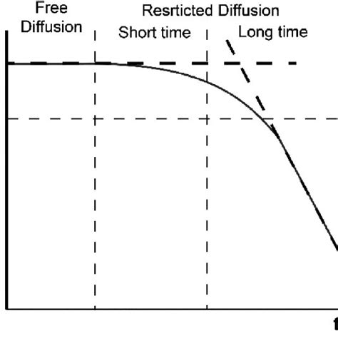 Diffusion Regimes Of Liquid In Confined Space 1 Short When Liquid Download Scientific