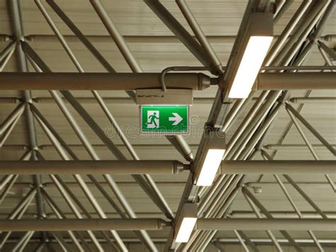 Green Exit Sign Under Grid Roof With Lamps Stock Photo Image Of Emergency Exit 104168184