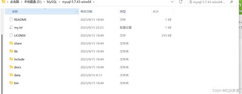 MySQL 下载及安装详细教程 CSDN博客