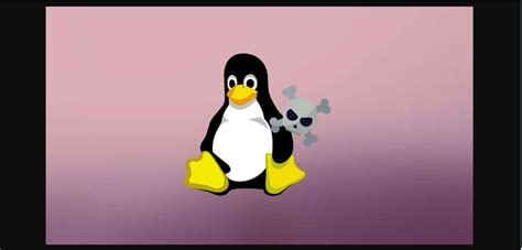 pesquisadores pedem desculpas por adicionar vulnerabilidades no código