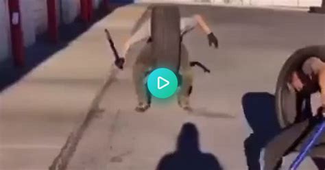 Textbook Use Of The Challenging “barrel Roll” Maneuver Album On Imgur