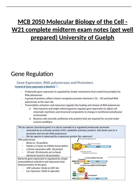MCB 2050 Molecular Biology Of The Cell W21 Complete Midterm Exam Notes Get Well Prepared