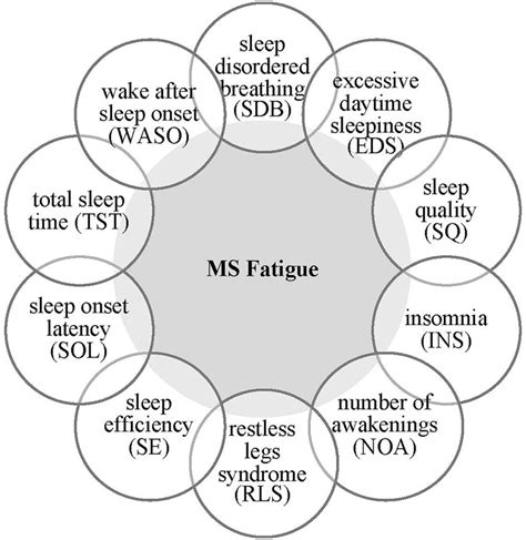 Conceptual Framework For Categorization Of 10 Sleep Variables Download Scientific Diagram