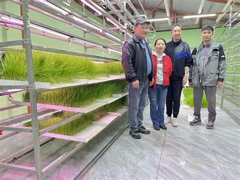 Мал аж ахуйн эдийн засгийн эргэлтийг нэмэгдүүлэх төсөл Дээдсийн сүрэг ХХК Малын тэжээлийн