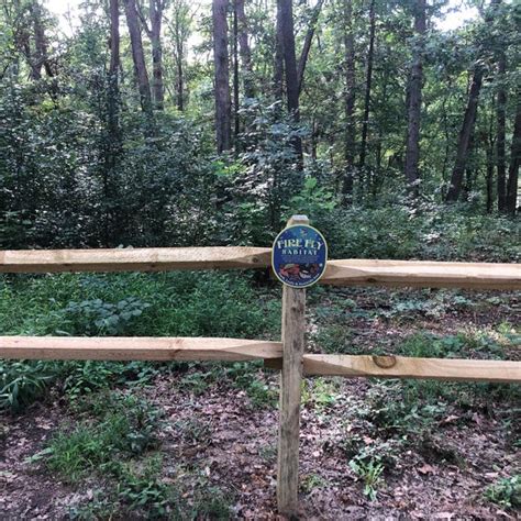 Firefly Habitat Dark Leafy And Pesticide Free For Lightening Bugs Etsy