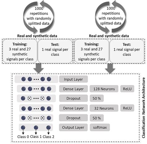 inputs and network architecture for the classification download