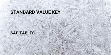 Standard Value Key Table In Sap