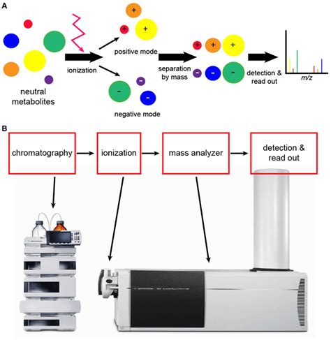 Analytical Workflow Of Liquid Chromatography Lc Mass Spectroscopy