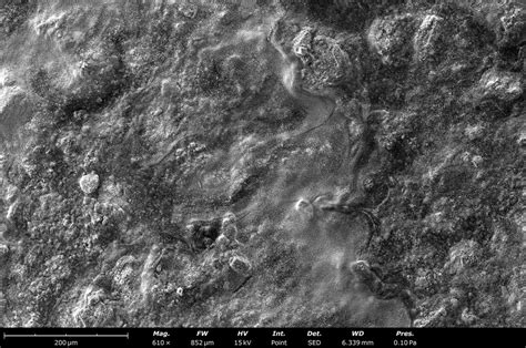 Unlocking New Dimensions 3d Surface Visualization With Scanning Electron Microscopy