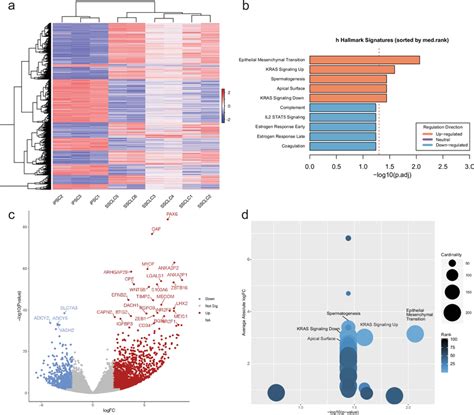 Rna Seq Analysis Of Differentially Expressed Genes Of Ipsc And Ssclc A Download Scientific