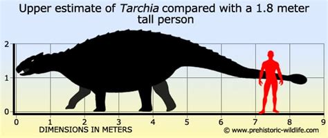 Tarchia
