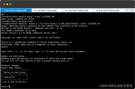 linux安装proxysql（图文解说详细版） csdn博客