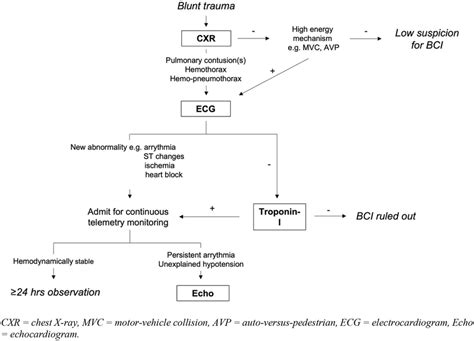 Proposed Diagnostic Algorithm For Bci In Pediatric Patients Based On Download Scientific