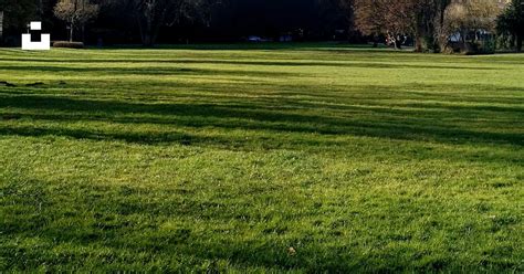 푸른 하늘 아래 잎이없는 나무와 낮에는 흰 구름이있는 푸른 잔디 밭 사진 Unsplash의 무료 독일 이미지