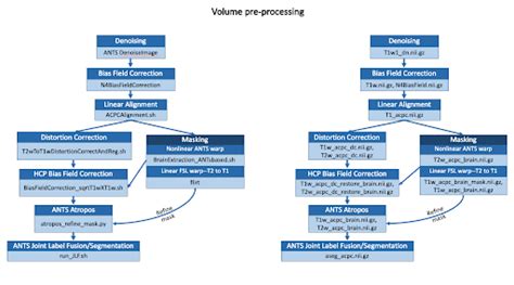 infant pipeline documentation dcan lab readthedocs