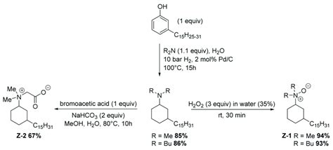 Scheme 29 Aliphatic Zwitterionic Surfactants From Hydrogenated