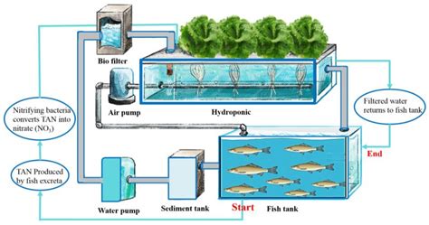 Reviews Of Smart Systems And Iot For Aquaponics Chemosensors Mdpi