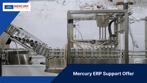 It Services Mercury Consulting Corporation