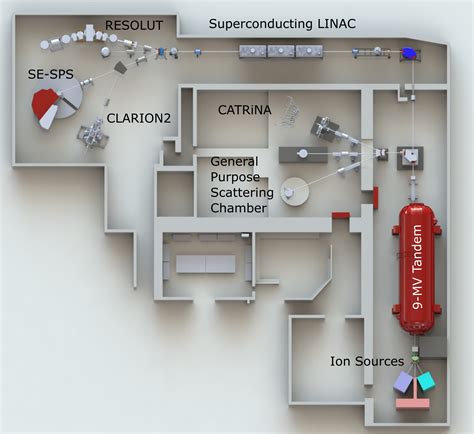 Nuclear Structure And Nuclear Astrophysics At Florida State University