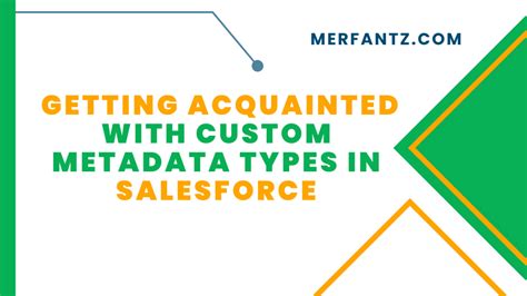 Salesforce Custom Metadata Types A Comprehensive Guide