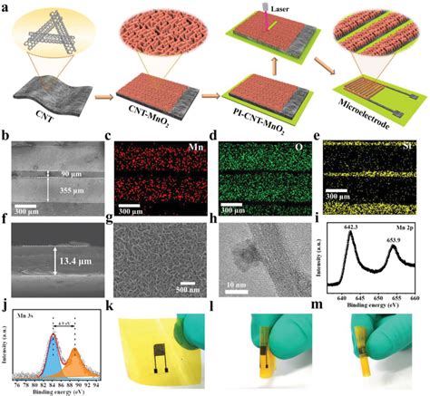 The Fabrication Process And Characterization Of Microelectrodes A