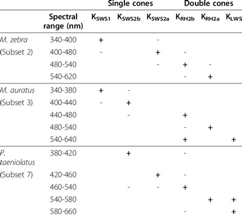 Summary Of Nonopponent And Opponent Cone Interactions Download Table
