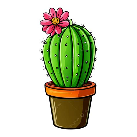 Cactus Vector Illustration